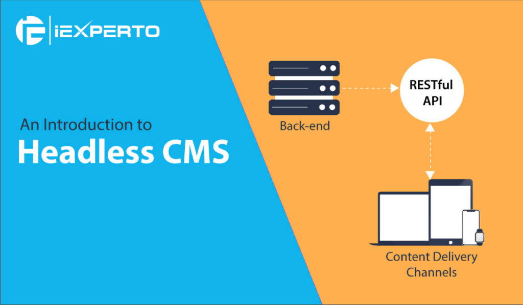 Headless CMS Development Company in USA & Canada | iExperto, Inc.
